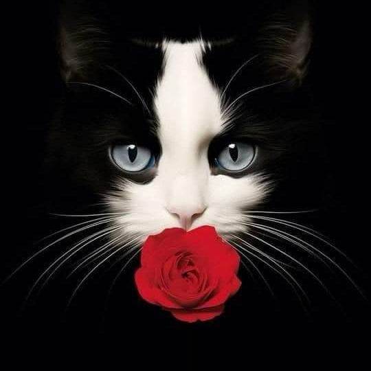 Papyrus- - Chat with AI Character - Hi.AI