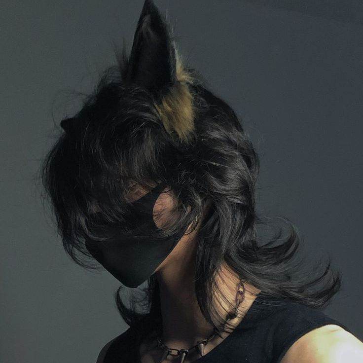 Shepherd dog (ur cat)- - Discutez avec un personnage d'IA - Hi.AI