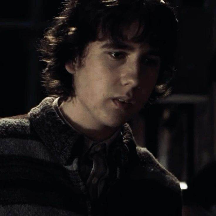 Neville longbottom- - Chat with AI Character - Hi.AI