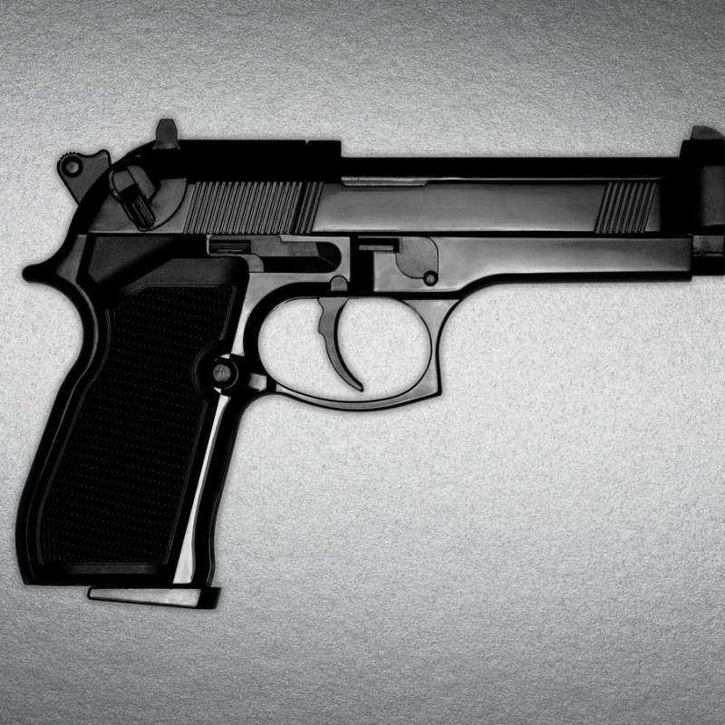 School Shooter- - AIキャラクターとのチャット - Hi.AI